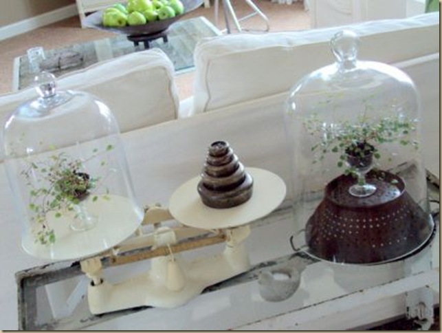 Purple Goat Lady: White Centerpieces and Flowers